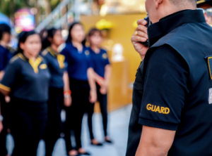 NATPRO – SECURITY SERVICES